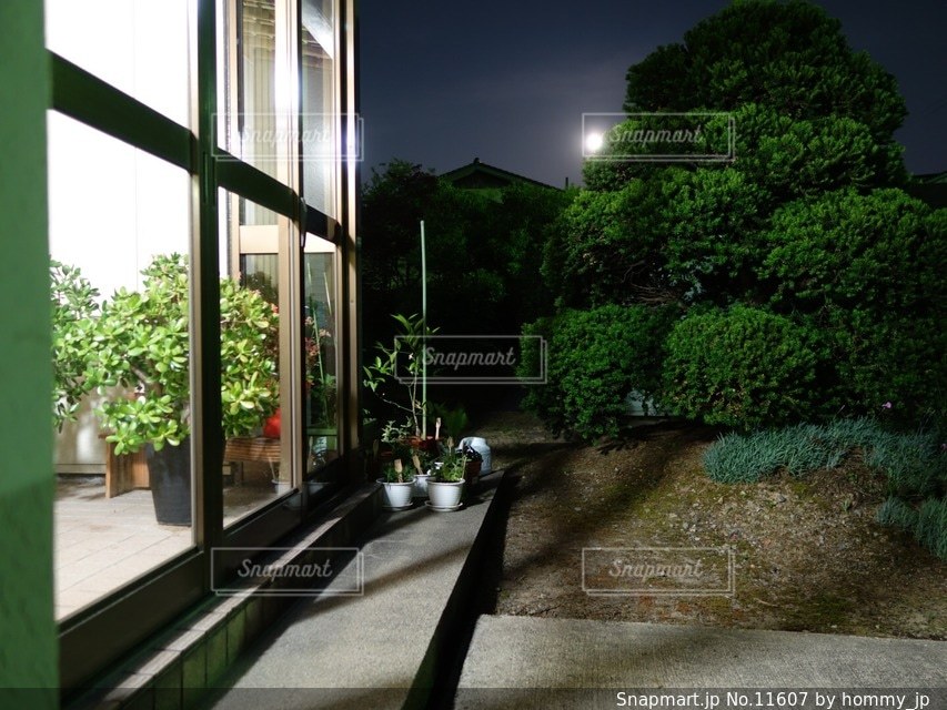 夏の写真・画像素材[11607]-Snapmart（スナップマート）